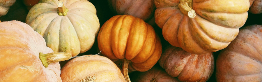 More about Scottsdale Community Calendar | Scottsdale Fall Festival