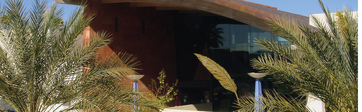 More about Scottsdale Public Library Events | Fall Book Sale